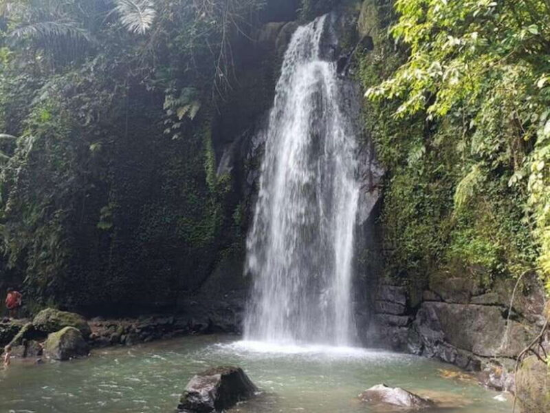 Ubud: Monkey Forest, Temple, Rice Terraces, Hidden Waterfall - Final Thoughts