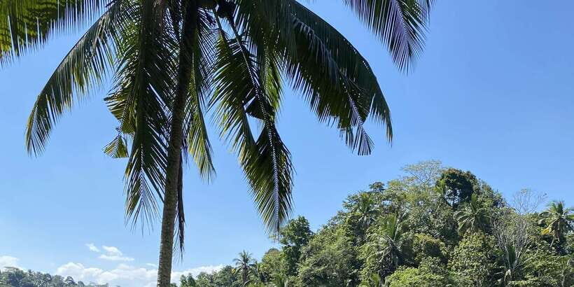 Ubud :Monkey forest, Water Temple and waterfall Private Tour - FAQ