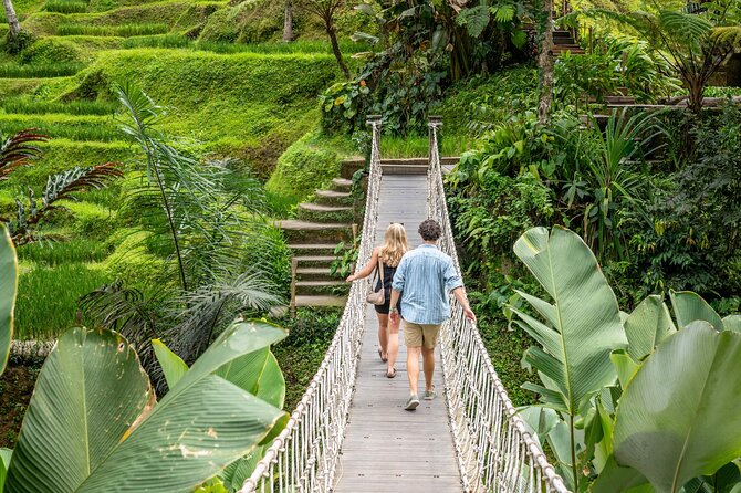 Ubud: Monkey Forest, Waterfall and Nature Exploration Tour - Who Would Love This Tour?