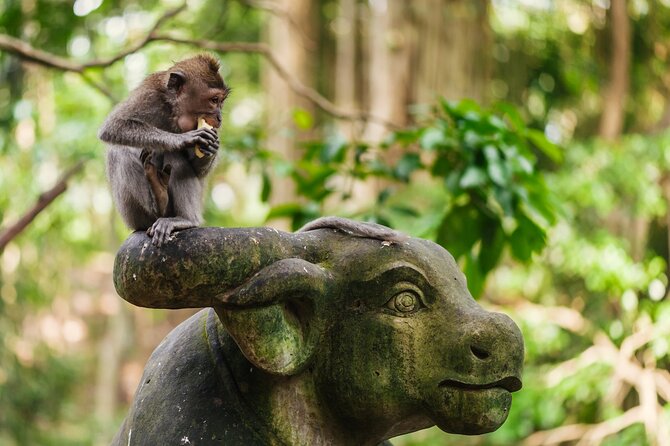 Ubud: Monkey Forest, Waterfall and Nature Exploration Tour - FAQs