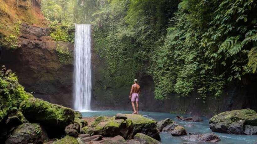 Ubud: Monkey Forest, Waterfall, and Rice Terrace Tour - Key Points