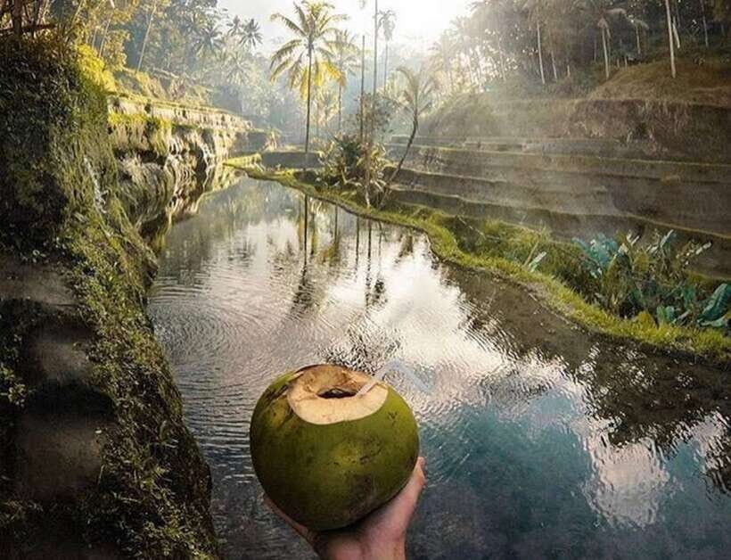 Ubud: Monkey Forest, Waterfall, and Rice Terrace Tour - What to Expect From the Ubud Highlights Tour