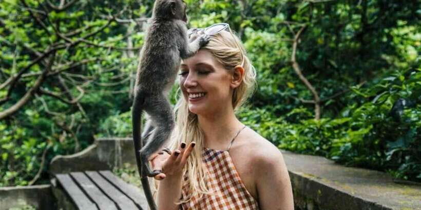 Ubud: Monkey Forest, Waterfall, and Rice Terrace Tour - Key Points