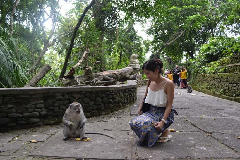 Ubud: Monkey Forest, Waterfall, and Rice Terrace Tour - Who Should Consider This Tour?
