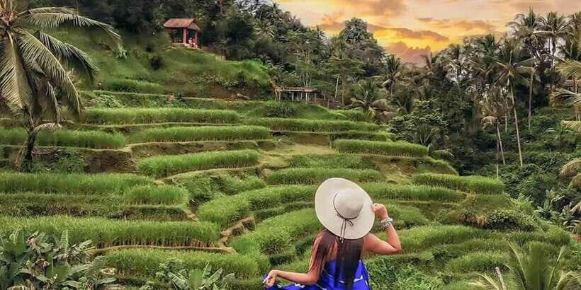 Ubud: Monkey Forest, Waterfall, and Rice Terrace Tour - FAQs About the Ubud: Monkey Forest, Waterfall, and Rice Terrace Tour