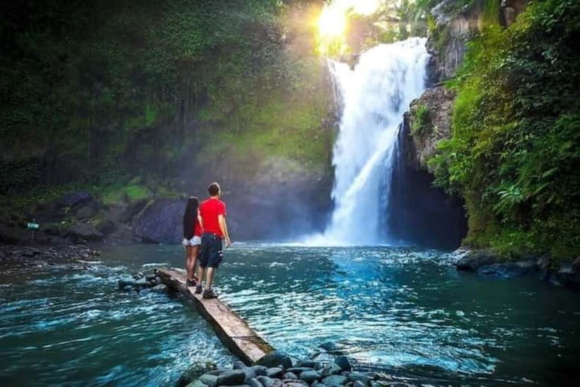 Ubud: Monkey Forest, Waterfall, Ricefield & Swing Activity - Key Points