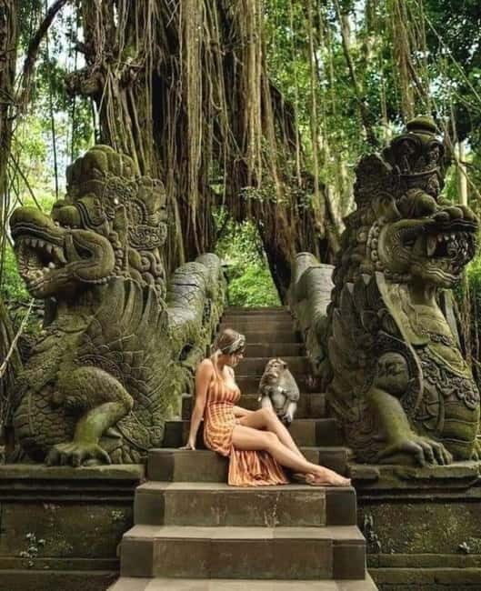 Ubud: Monkey Forest, Waterfall, Ricefield & Swing Activity - The Logistics and Practicalities