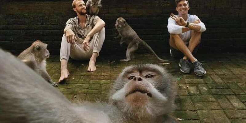 Ubud Monkey Forest, Waterfall, Temple and Rice Terrace Tour - What to Expect from the Tour