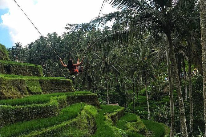 Ubud Nature Waterfall Tour - Analyzing the Value