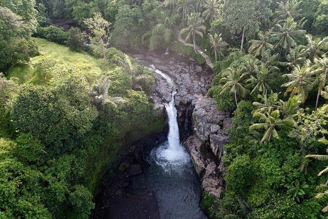 Ubud Nature Waterfall Tour - The Sum Up