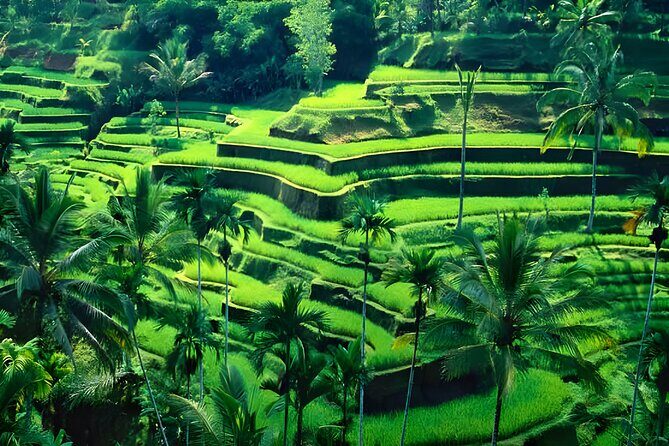 Ubud Night Half Day Trip with Legong Dance Performance - Practical Details & Tips