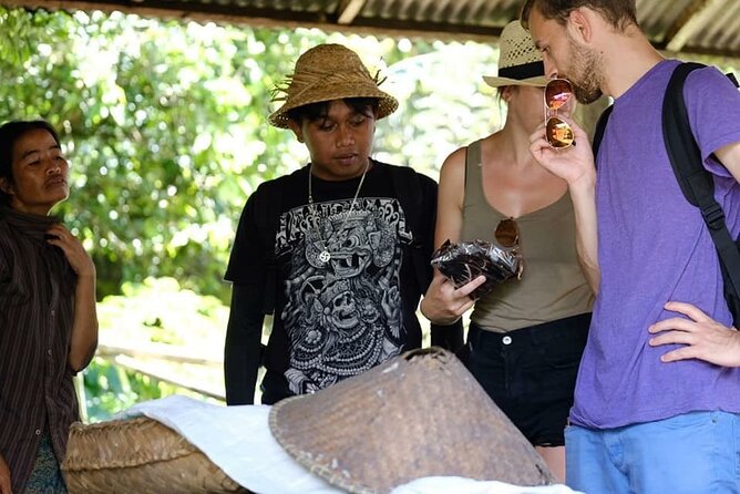Ubud Off the Beaten Path  All-Inclusive Tour - The Itinerary: A Closer Look