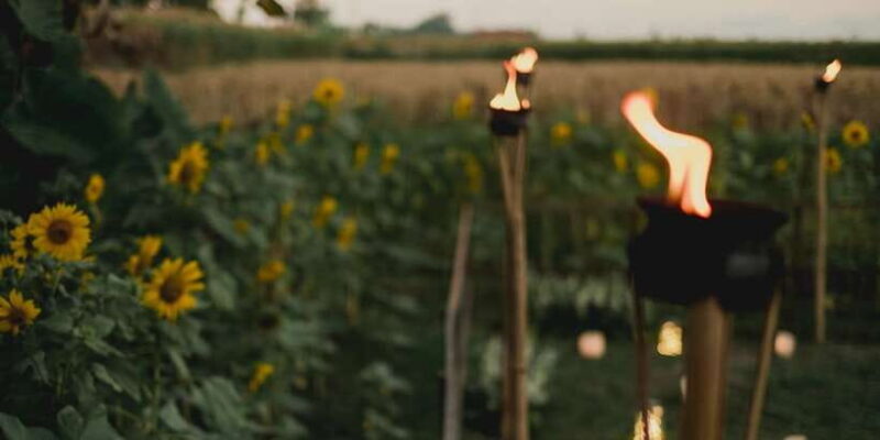 Ubud: Omakase at The Tempayan - What is the Ubud Omakase at The Tempayan?