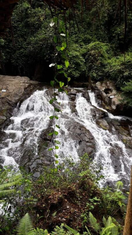 Ubud One Day Private Tour with Driver-Guide - The Itinerary Breakdown: What to Expect