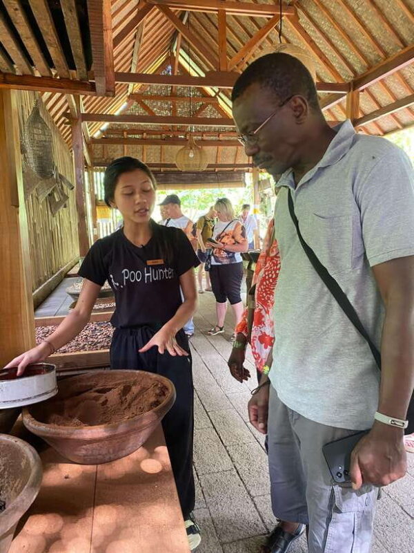 Ubud One Day Private Tour with Driver-Guide - The Practical Details