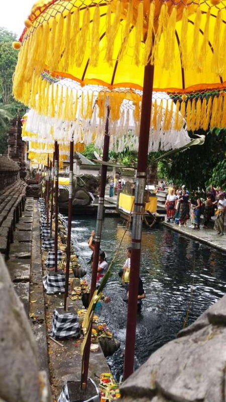 Ubud One Day Private Tour with Driver-Guide - Authentic Experiences and Reviews