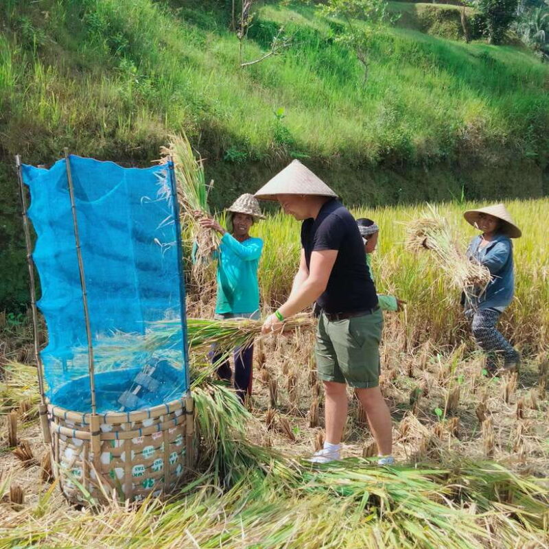 Ubud One Day Private Tour with Driver-Guide - Final Thoughts: Is This Tour Right for You?