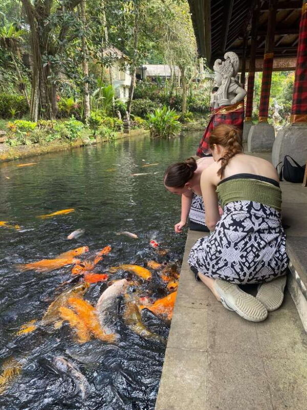 Ubud One Day Private Tour with Driver-Guide - Final Words