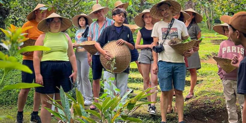 Ubud: Organic Farm Harvest, Bali Cooking Class by Pemulan - An In-Depth Look at the Experience