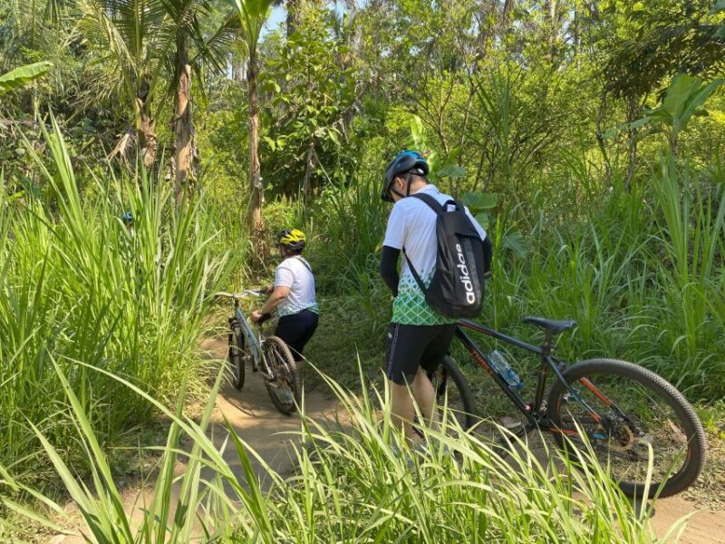 Ubud : PRIVATE Bike Tour inside Rice Field with meal & pool - In-Depth Breakdown of the Itinerary