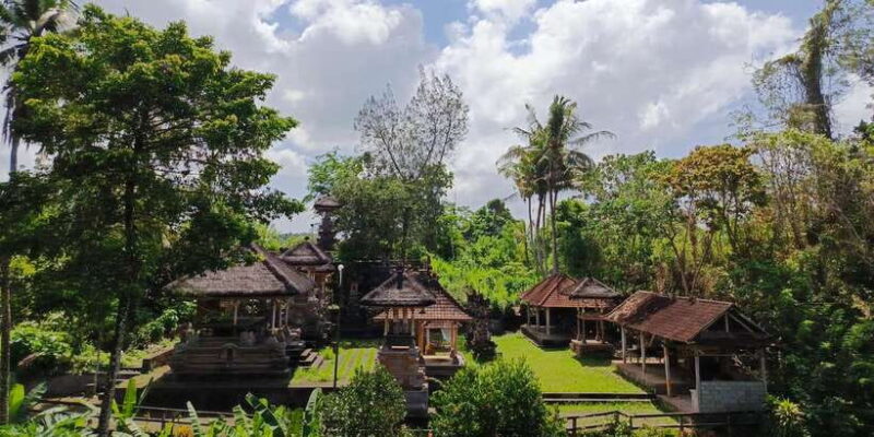 Ubud: Private Charter Car 10hours. - The Experience from Reviews: Authenticity and Service