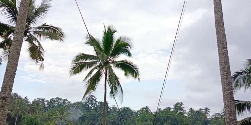 Ubud: Private Charter Car 10hours. - Who Should Book This Tour?