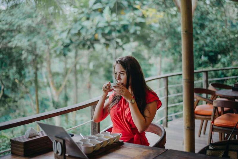 Ubud Private Customized Full-day Tours with Photographer - FAQ