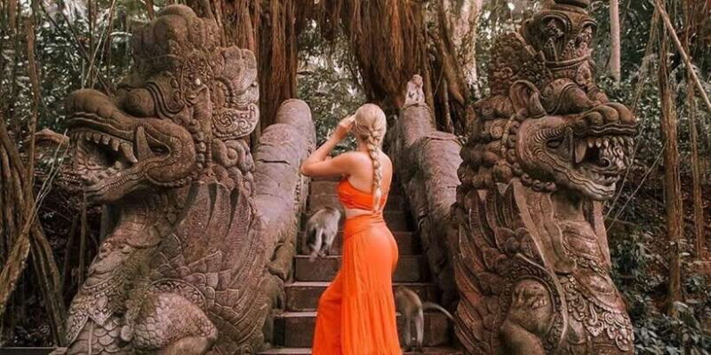 Ubud: Private Day Tour in Ubud with Entrance Ticket Included - Key Points