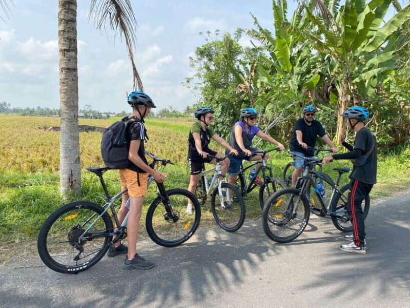 Ubud: PRIVATE E-bike Tour inside Rice Field with meal & pool - Key Points