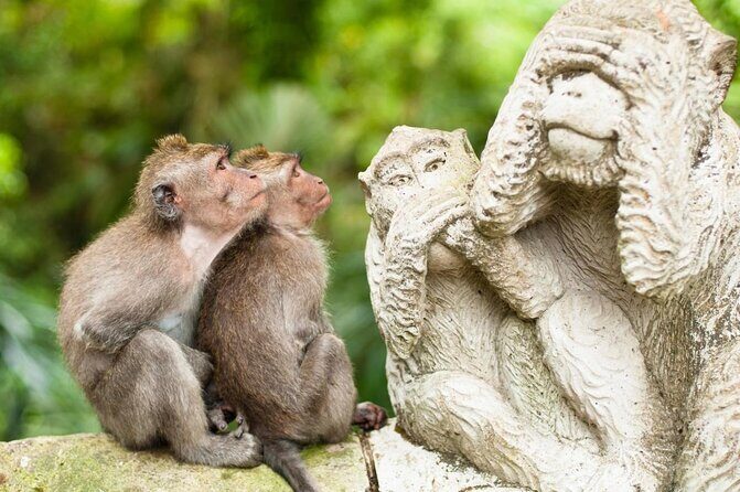Ubud Private Full-Day Tour - Ubud Private Full-Day Tour: An Authentic Balinese Experience