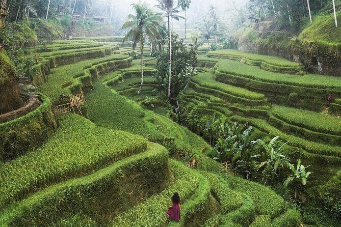 Ubud Private Full-Day Tour - FAQs