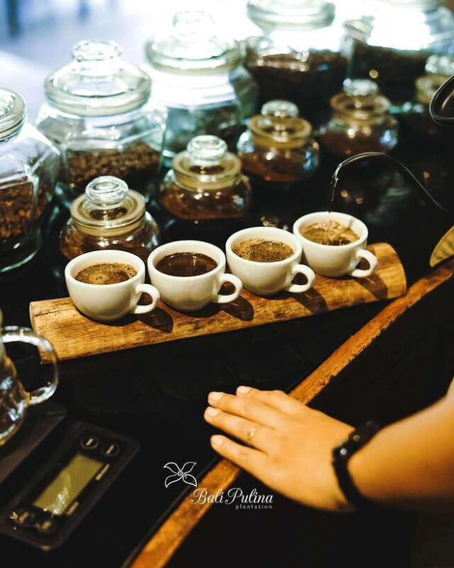 Ubud: Private Half-Day Tour with Rice Terrace & Waterfall - Ubud: Private Half-Day Tour with Rice Terrace & Waterfall