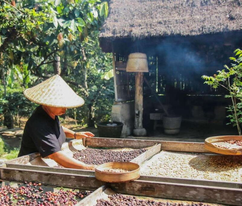 Ubud: Private Half-Day Tour with Rice Terrace & Waterfall - The Sum Up: Who Is This Tour Best For?