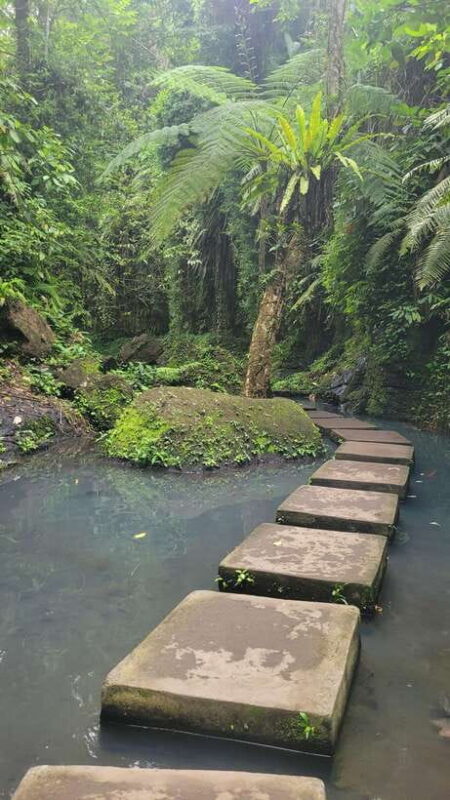 Ubud: Private Half-Day Tour with Rice Terrace & Waterfall - FAQ