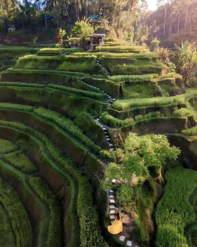 Ubud: Private Hidden Waterfalls and Rice Terrace Tour - Authentic Experiences and Personal Touches