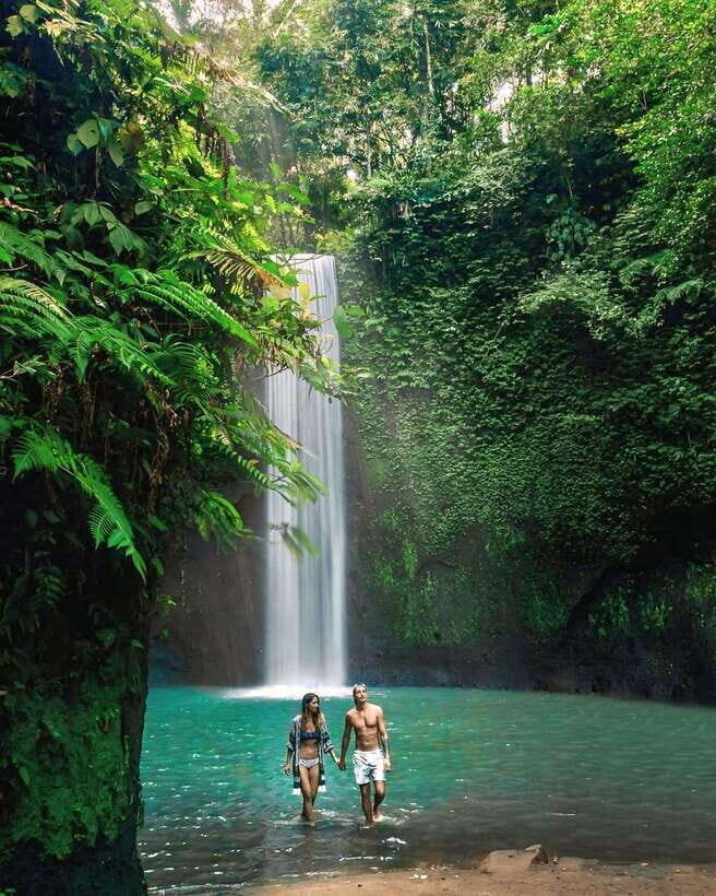 Ubud: Private Scenic Waterfalls and Rice Terraces Tour - Key Points