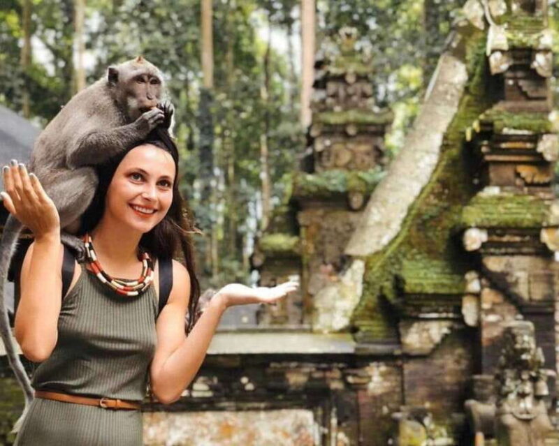 Ubud: Private Sighseeing Ubud Area, Culture with Transfer - Who Will Love This Tour?