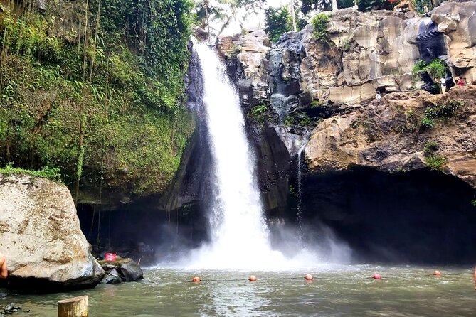 Ubud Private Tour - Best Of Ubud - All Inclusive - FAQ