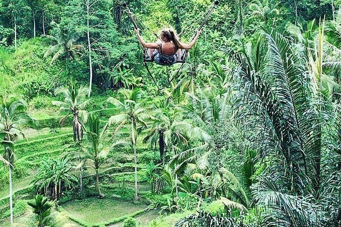 Ubud Private Tour - An In-Depth Look at the Ubud Private Tour