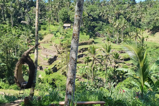 Ubud Private Tour - FAQs