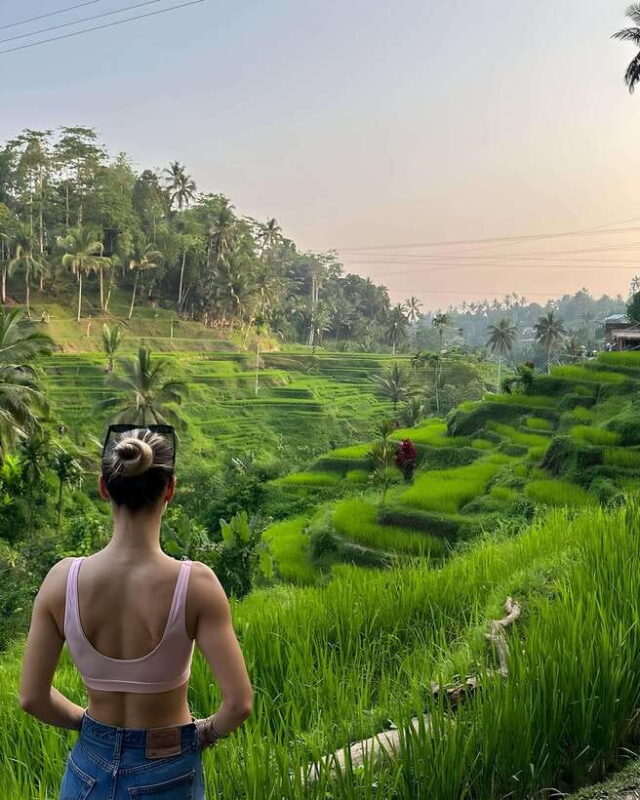 Ubud: Private Tour of Temples, Waterfalls & Rice Terraces - Final Thoughts