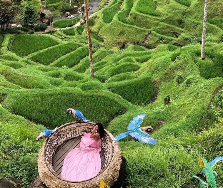 ubud : private tour,atv,rice terrace,waterfalls - Authentic Experiences and Authenticity