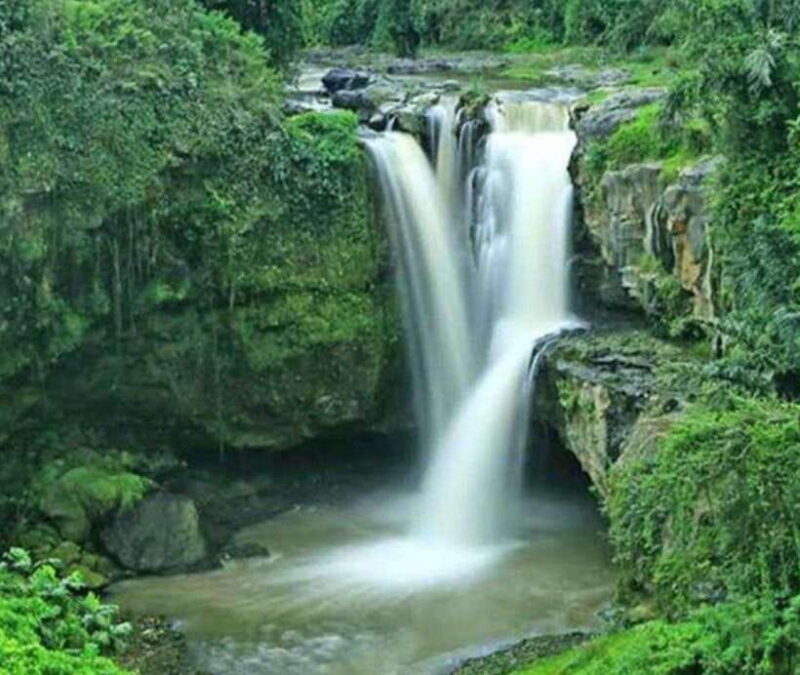 ubud : private tour,atv,rice terrace,waterfalls - Final Thoughts