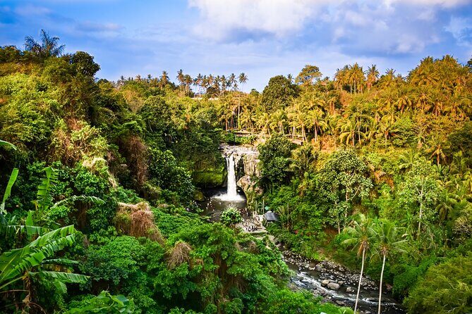Ubud private tours - Practical Details and Considerations