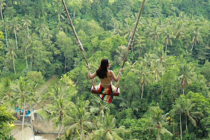 Ubud Private Tours with Jungle Swing Experience - all inclusive - Key Points