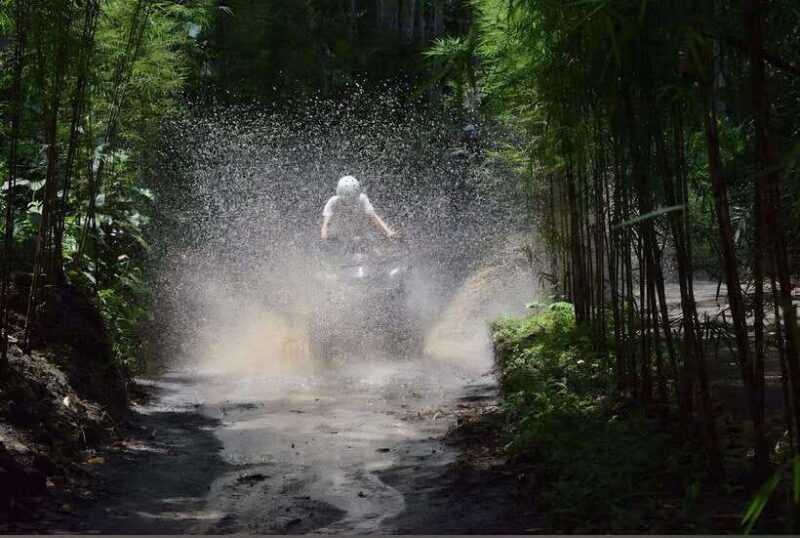 Ubud: Quad Bike and Photography - Authenticity and Tips for Travelers