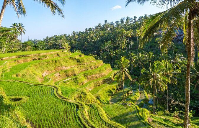 Ubud Rafting, BIG Swing & Spa Package - A Closer Look at the Itinerary