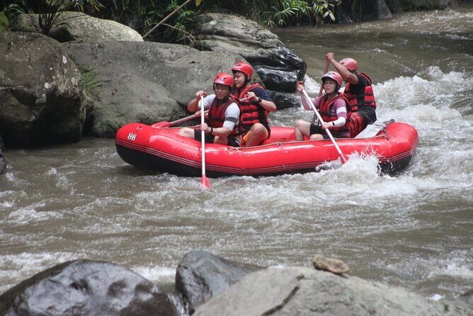 Ubud Rafting (Include Lunch and Return Transportation) - The Value of Ubud Rafting
