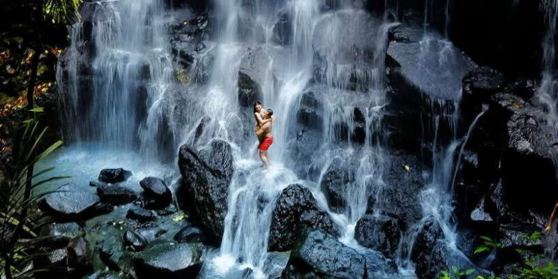 Ubud: Rice Terrace, Holy Water Temple & Waterfalls Trek Tour - Who Will Love This Tour?