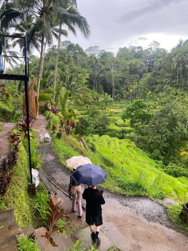 Ubud: Rice Terrace, Monkey Forest, Temple, & Waterfall - Key Points